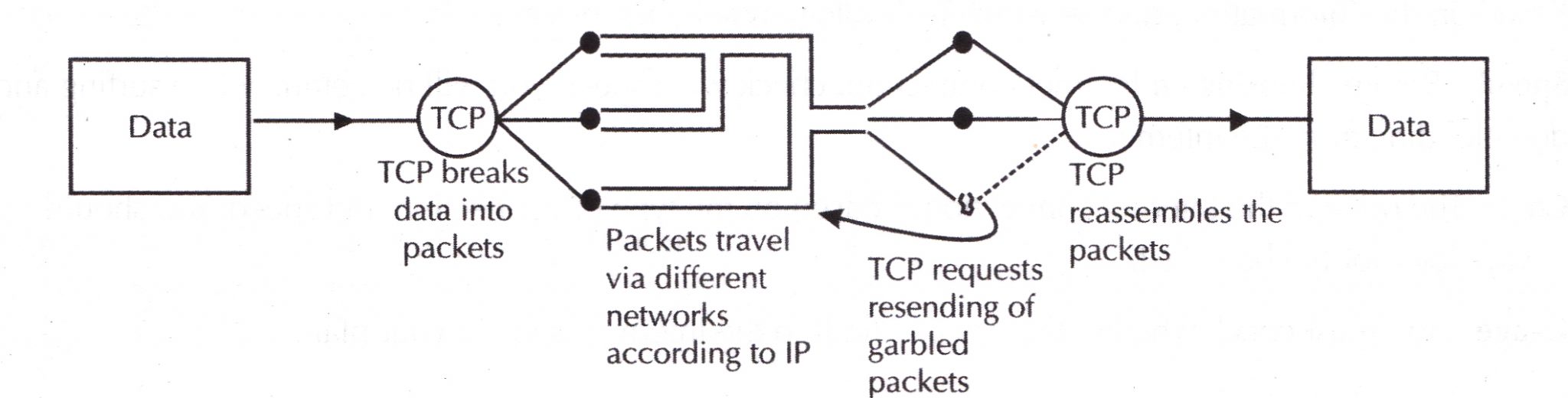 HSLC Computer Science Solution: Chapter 1 (Introduction to the Internet) - UJUDEBUG
