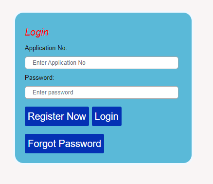 How to fill CEE 2023 Application form? - UJUDEBUG