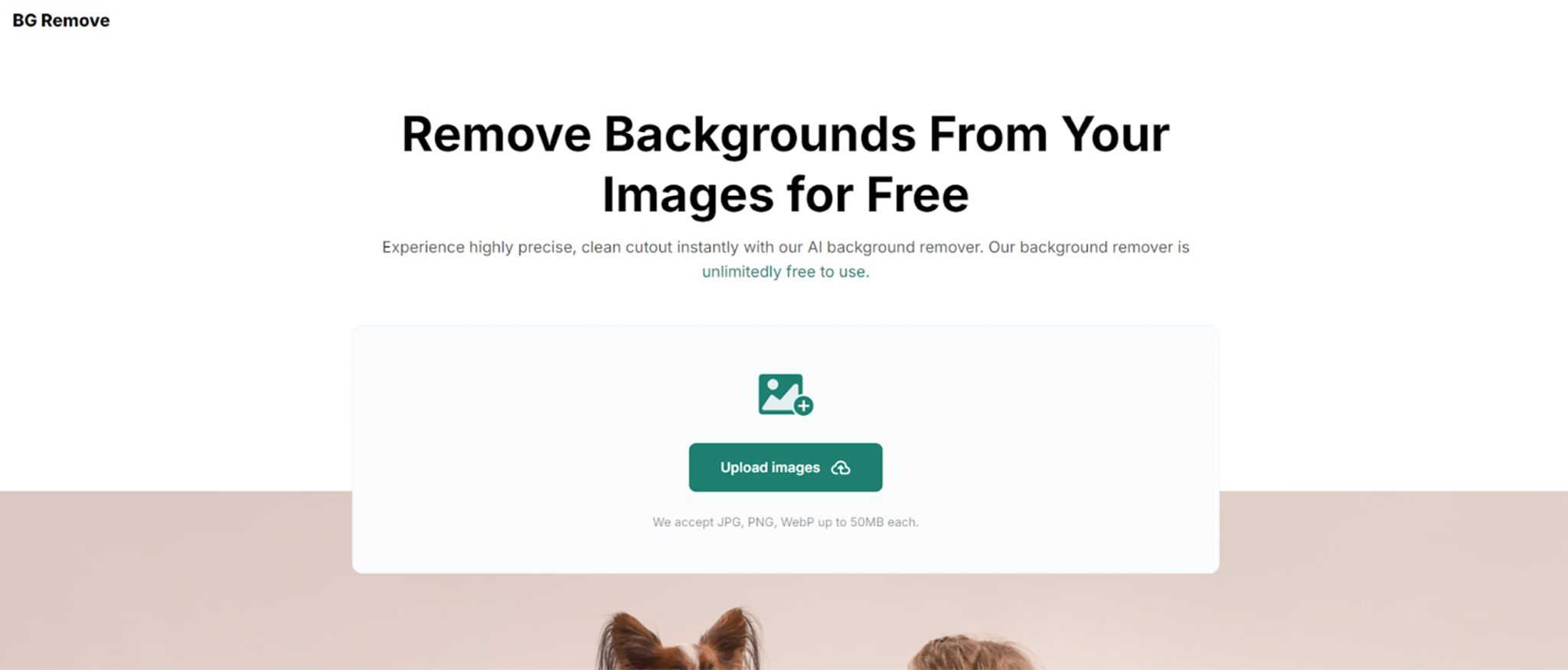 BG Remove Review: The Best Free AI Image - UJUDEBUG